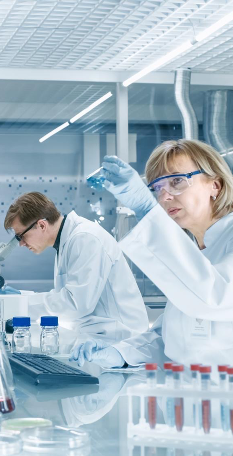 THE ANSWER! – VISION PRO MAX